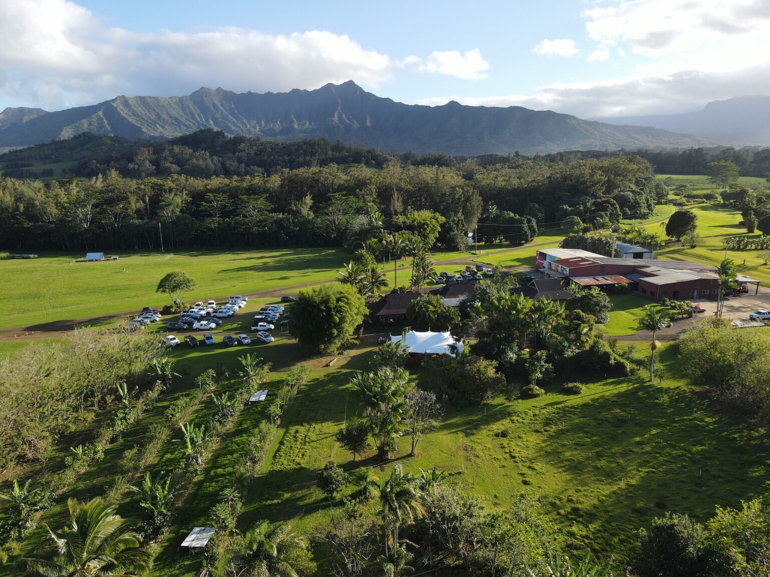 Upcoming Events › Island Happenings › – Kaua‘i Festivals & Events